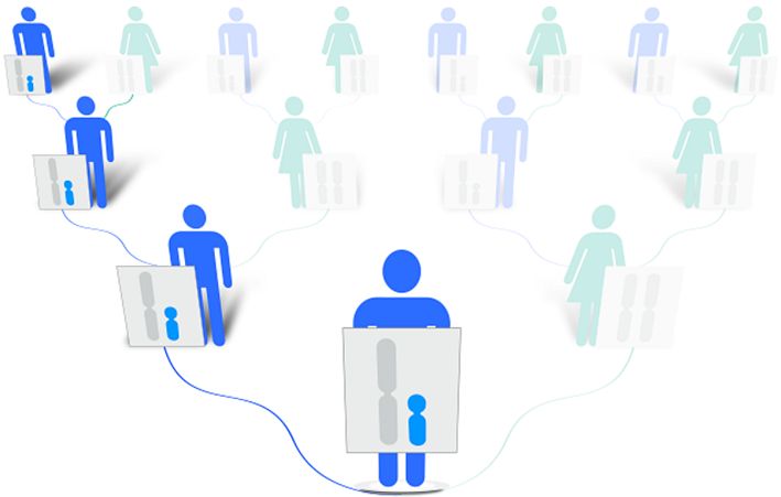 Types of DNA test – MacDougall DNA Research Project